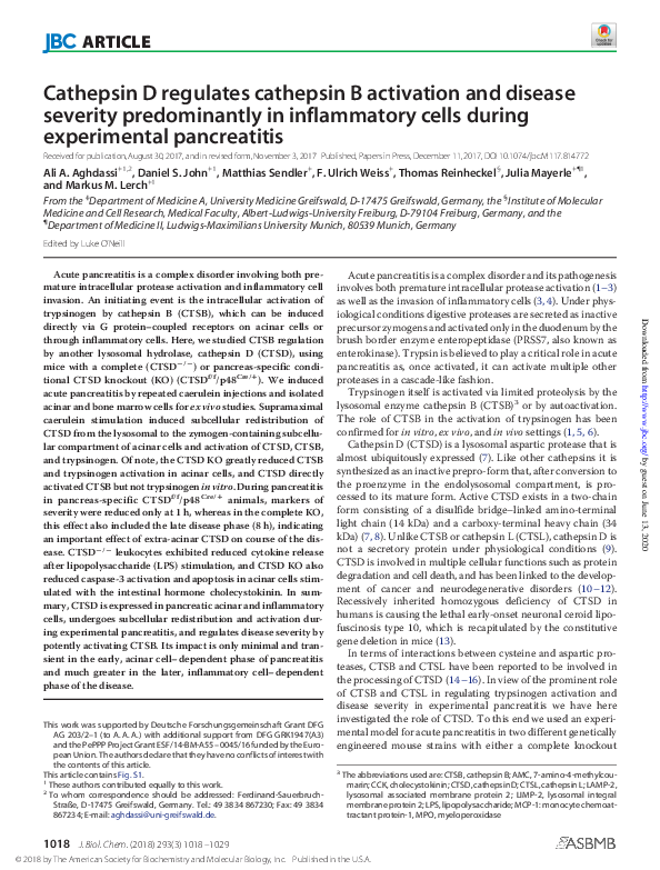 (PDF) Cathepsin D regulates cathepsin B activation and disease severity ...