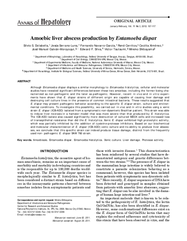 (PDF) Amoebic liver abscess production by Entamoeba dispar
