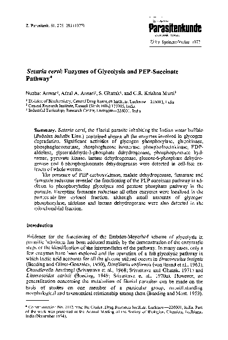 (PDF) Setaria cervi: Enzymes of glycolysis and PEP-succinate pathway ...