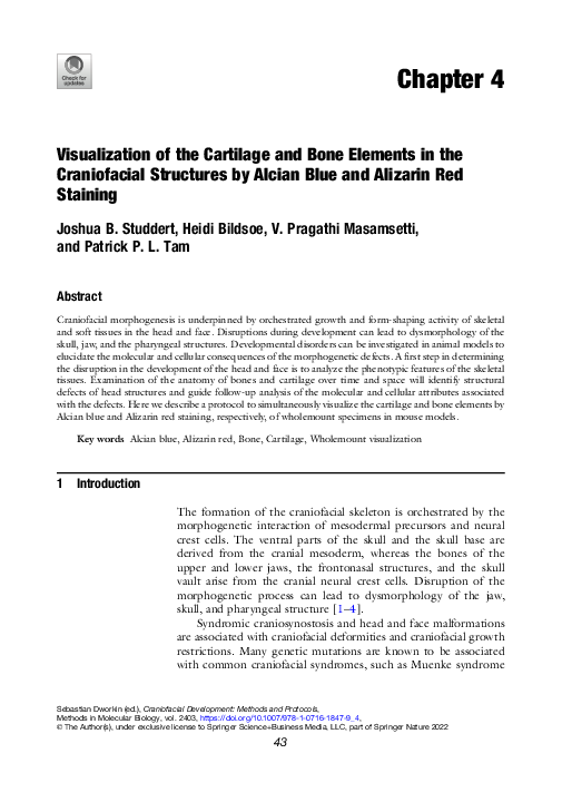 (PDF) Visualization of the Cartilage and Bone Elements in the ...