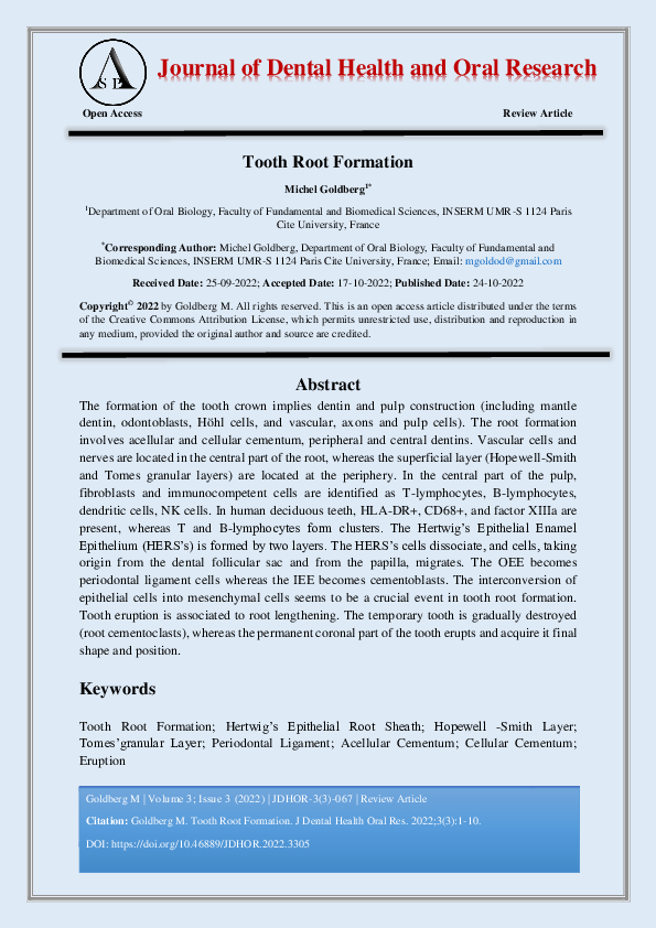 (PDF) Tooth Root Formation