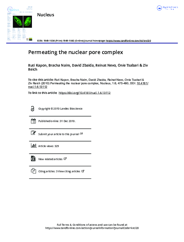 (PDF) Permeating the nuclear pore complex