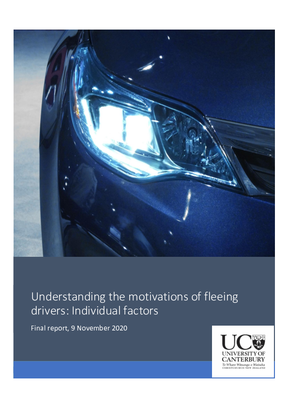 (PDF) Understanding the motivations of fleeing drivers: Individual ...