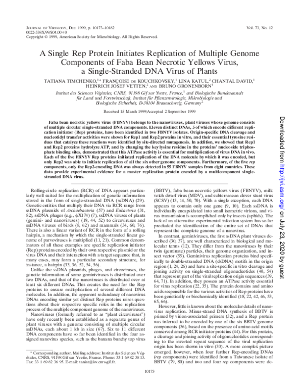 (PDF) A Single Rep Protein Initiates Replication of Multiple Genome ...