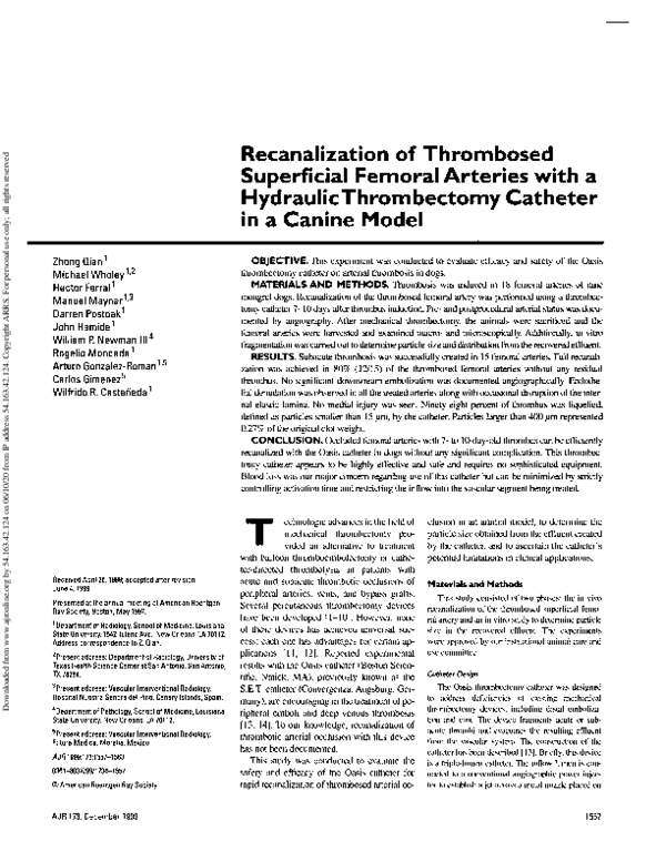 (PDF) Recanalization of thrombosed superficial femoral arteries with a ...