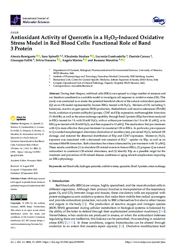 (PDF) Antioxidant Activity of Quercetin in a H2O2-Induced Oxidative ...