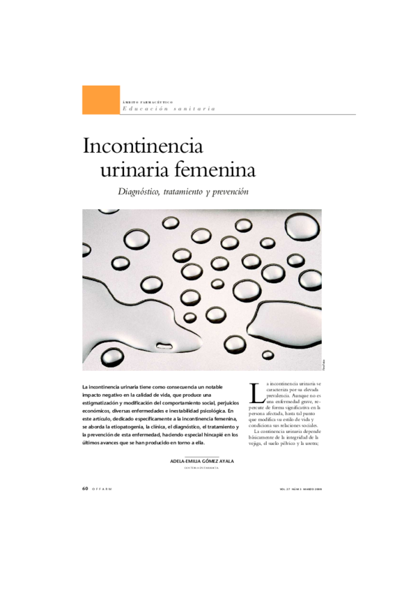 (PDF) Incontinencia urinaria femenina. Diagnóstico, tratamiento y ...