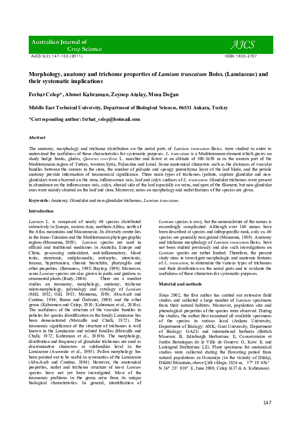 (PDF) Morphology, anatomy and trichome properties of Lamium truncatum ...