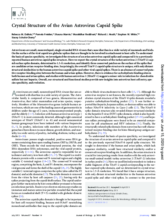 (PDF) Crystal Structure of the Avian Astrovirus Capsid Spike | Richard Heath - Academia.edu