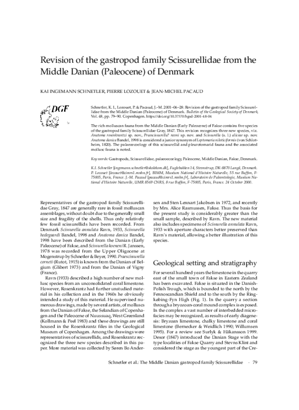 (PDF) Revision of the gastropod family Scissurellidae from the Middle ...