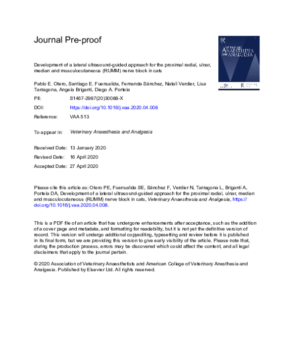 (PDF) Development of a lateral ultrasound‐guided approach for the ...