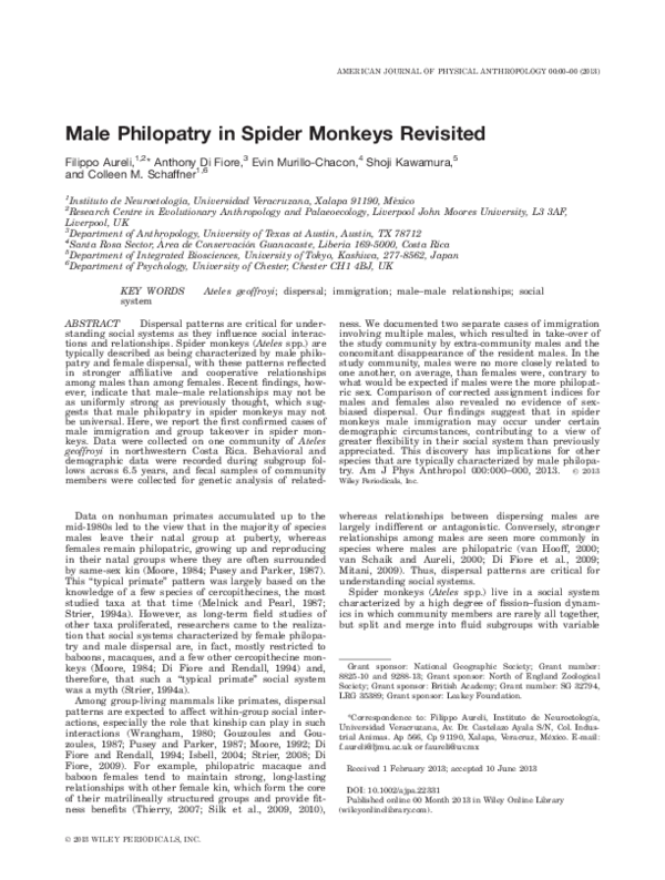 (PDF) Male philopatry in spider monkeys revisited