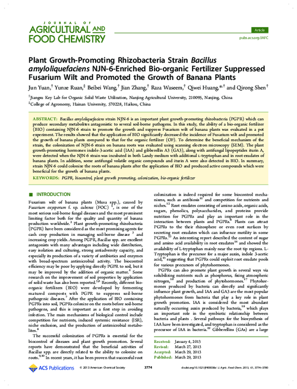 (PDF) Plant Growth-Promoting Rhizobacteria Strain Bacillus ...
