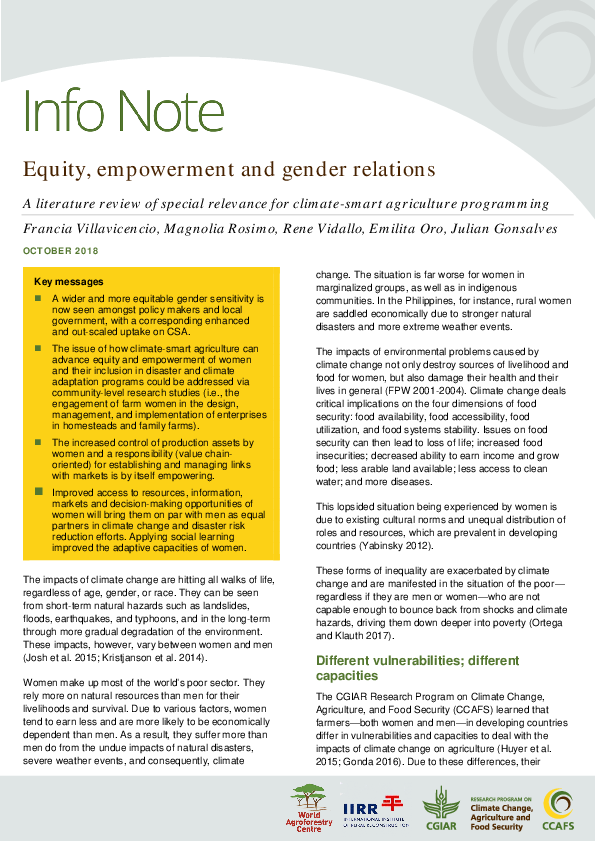 (PDF) Equity, empowerment and gender relations: A literature review of ...