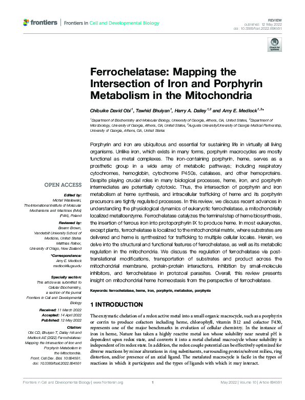 (PDF) Ferrochelatase: Mapping the Intersection of Iron and Porphyrin ...