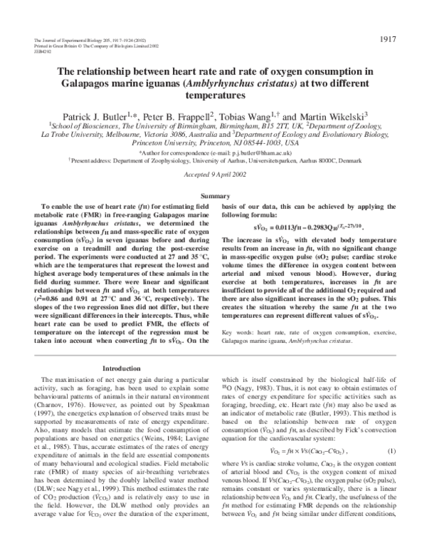 (PDF) The relationship between heart rate and rate of oxygen ...