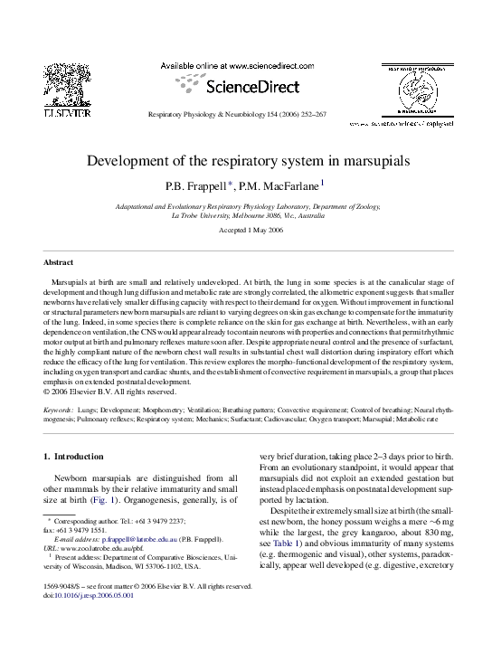 (PDF) Respiratory Development in Marsupials