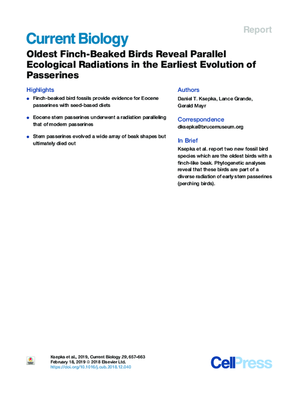 (PDF) Oldest Finch-Beaked Birds Reveal Parallel Ecological Radiations ...