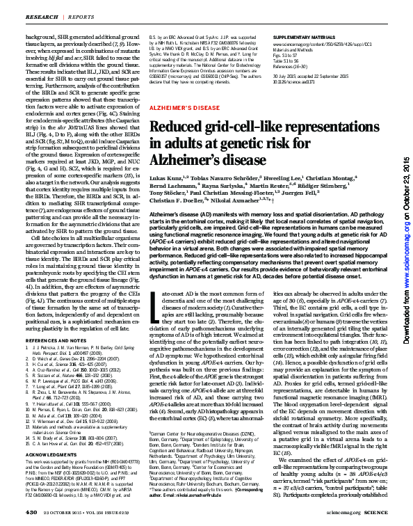(PDF) Reduced grid-cell-like representations in adults at genetic risk ...