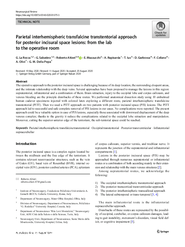 (PDF) Parietal interhemispheric transfalcine transtentorial approach ...