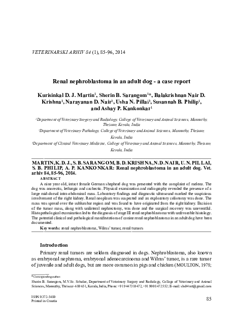 (PDF) Renal nephroblastoma in an adult dog- a case report