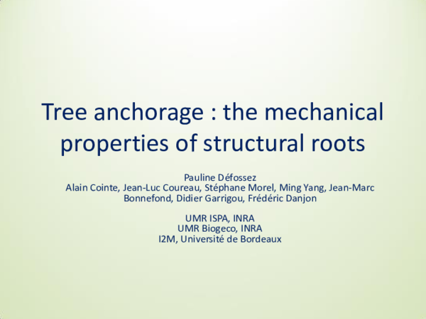 (PDF) Tree anchorage: the mechanical properties of structural roots