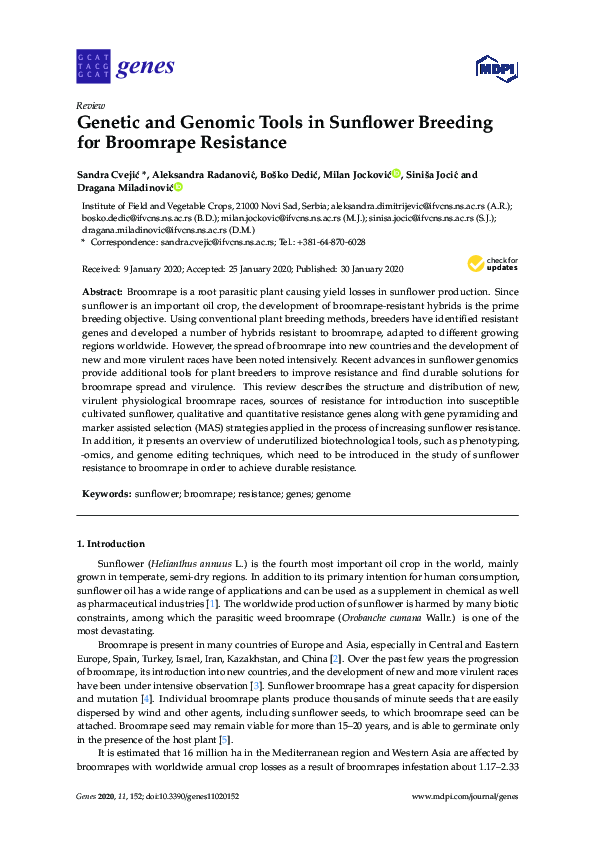 (PDF) Genetic and Genomic Tools in Sunflower Breeding for Broomrape ...