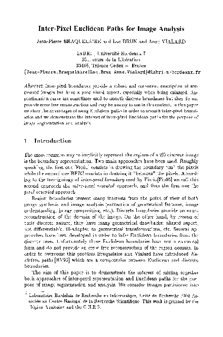 (PDF) Inter-pixel Euclidean paths for image analysis