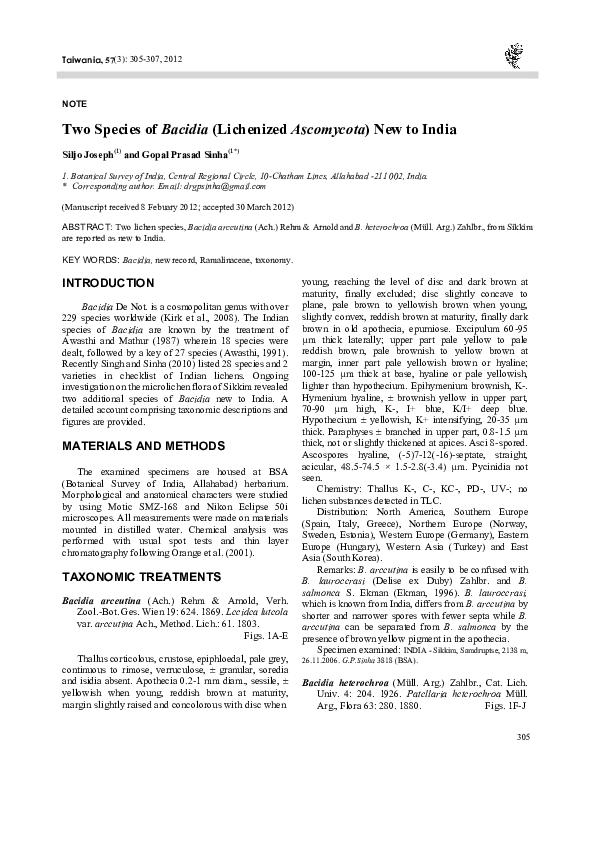 (PDF) Two Species of Bacidia (Lichenized Ascomycota) New to India
