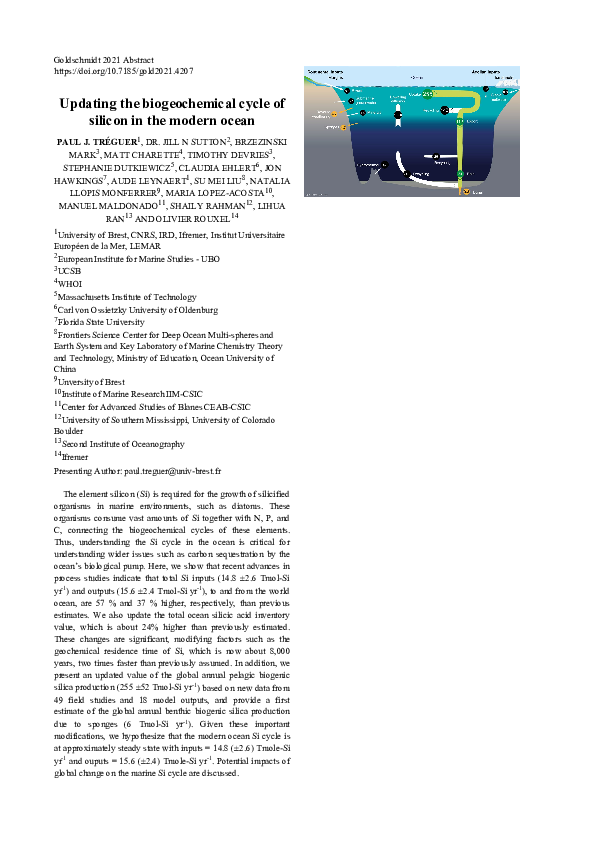 (PDF) Updating the biogeochemical cycle of silicon in the modern ocean