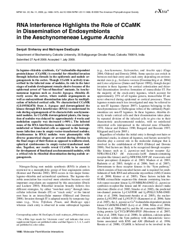 (PDF) RNA Interference Highlights the Role of CCaMK in Dissemination of ...