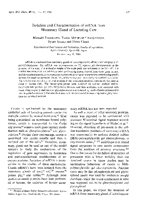 (PDF) Isolation and characterization of mRNA from mammary gland of lactating cow