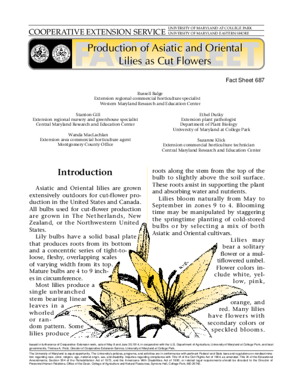 (PDF) Production of Asiatic and Oriental Lilies as Cut Flowers