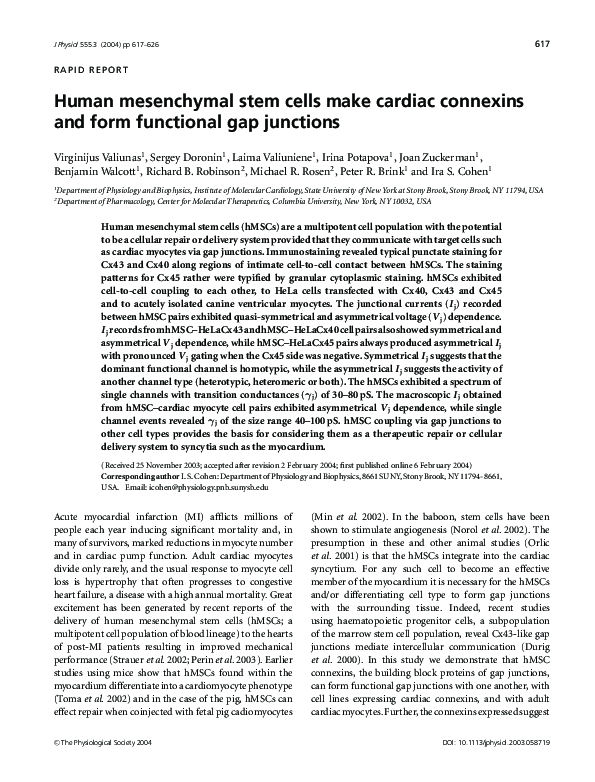 (PDF) Human mesenchymal stem cells make cardiac connexins and form ...