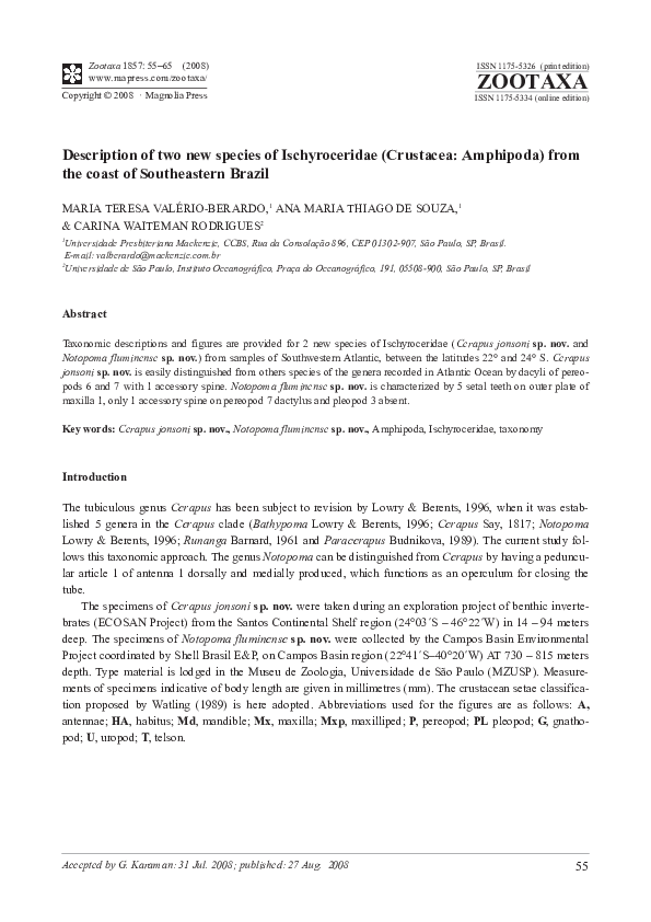 (PDF) Description of two new species of Ischyroceridae (Crustacea ...