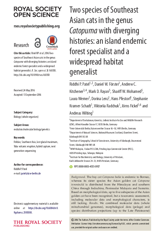 (PDF) Two species of Southeast Asian cats in the genus Catopuma with ...