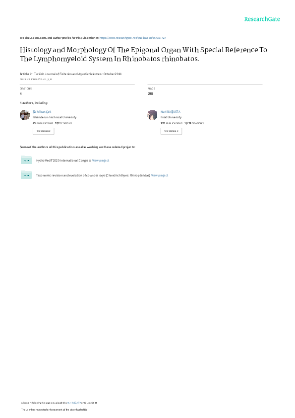 (PDF) Rhinobatos rhinobatos’ta lenfomyeloid sisteme özel epigonal ...