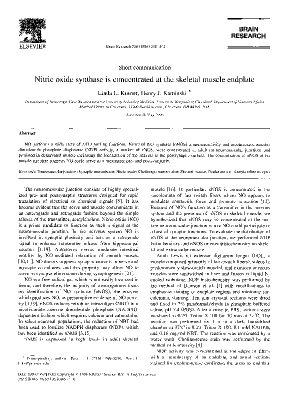 (PDF) Nitric oxide synthase is concentrated at the skeletal muscle ...