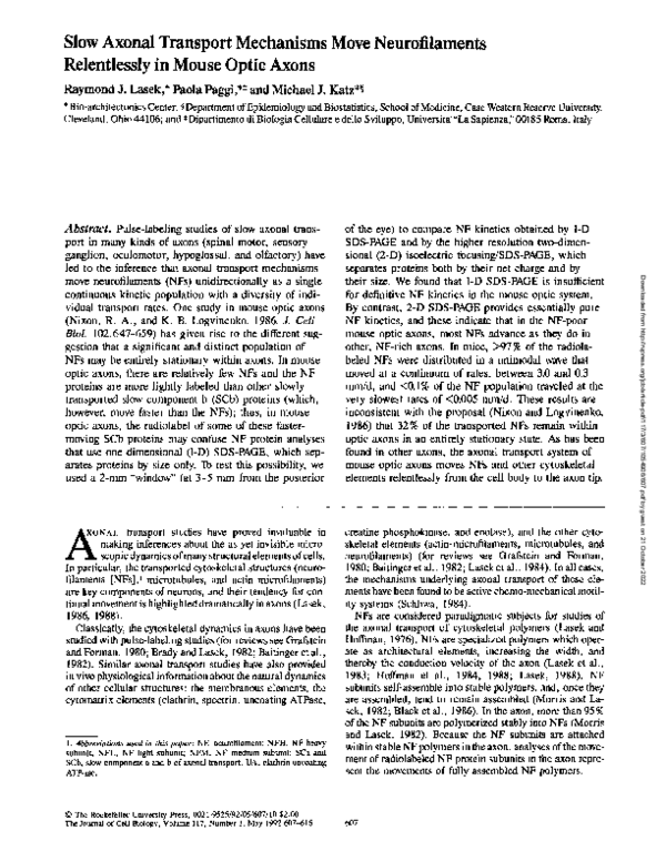 (PDF) Slow axonal transport mechanisms move neurofilaments relentlessly ...