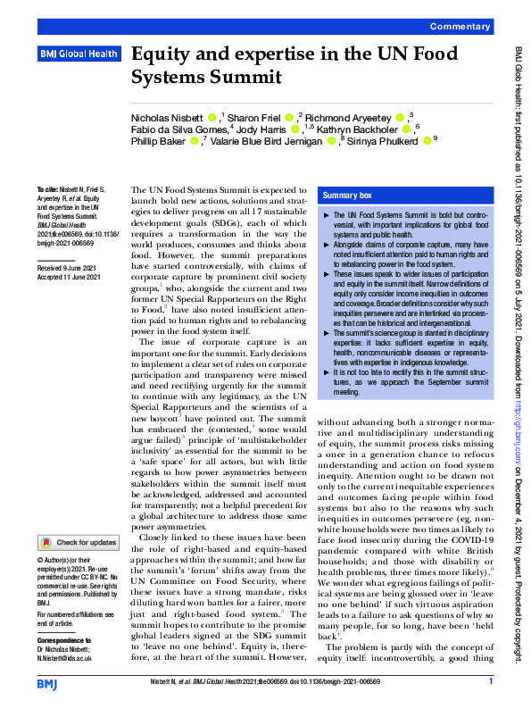 (PDF) Equity and expertise in the UN Food Systems Summit