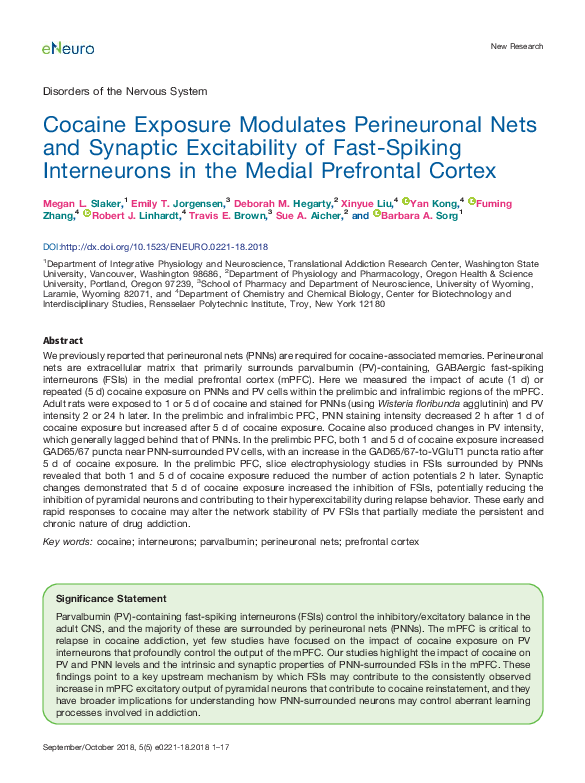 (PDF) Disorders of the Nervous System Cocaine Exposure Modulates ...