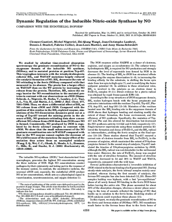 (PDF) Dynamic Regulation of the Inducible Nitric-oxide Synthase by NO