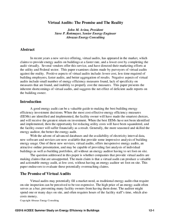 (PDF) Virtual Audits: The Promise and The Reality