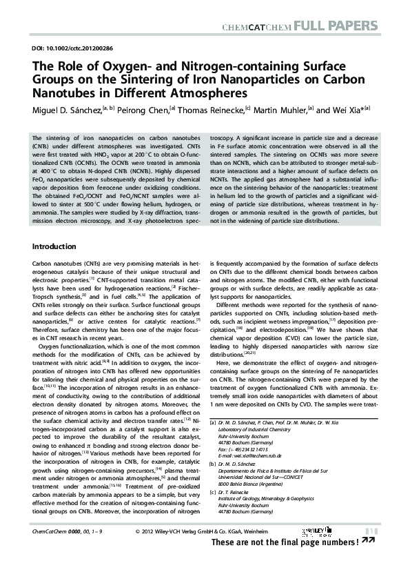 (PDF) The Role of Oxygen- and Nitrogen-containing Surface Groups on the ...