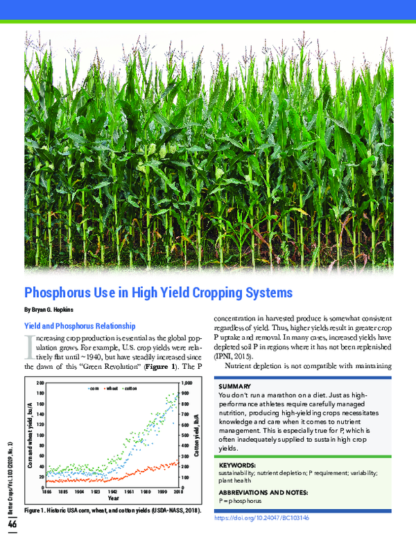 (PDF) Phosphorus Use in High Yield Cropping Systems