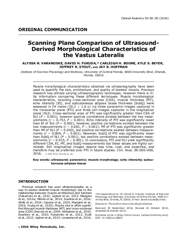 (PDF) Scanning plane comparison of ultrasound-derived morphological ...