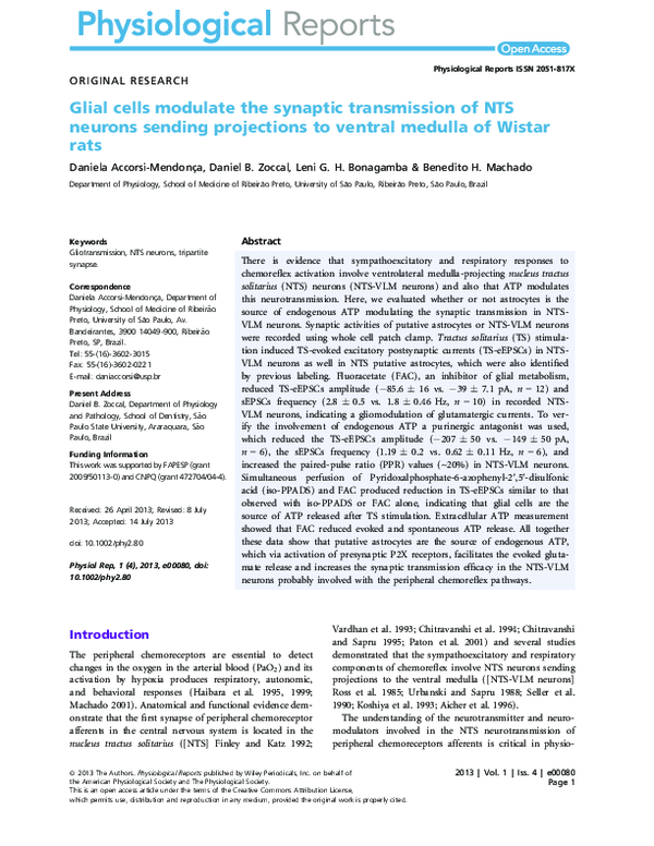 (PDF) Glial cells modulate the synaptic transmission of NTS neurons ...