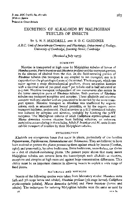 (PDF) Excretion of alkaloids by malpighian tubules of insects