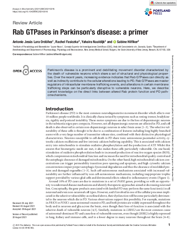 (PDF) Rab GTPases in Parkinson’s disease: a primer