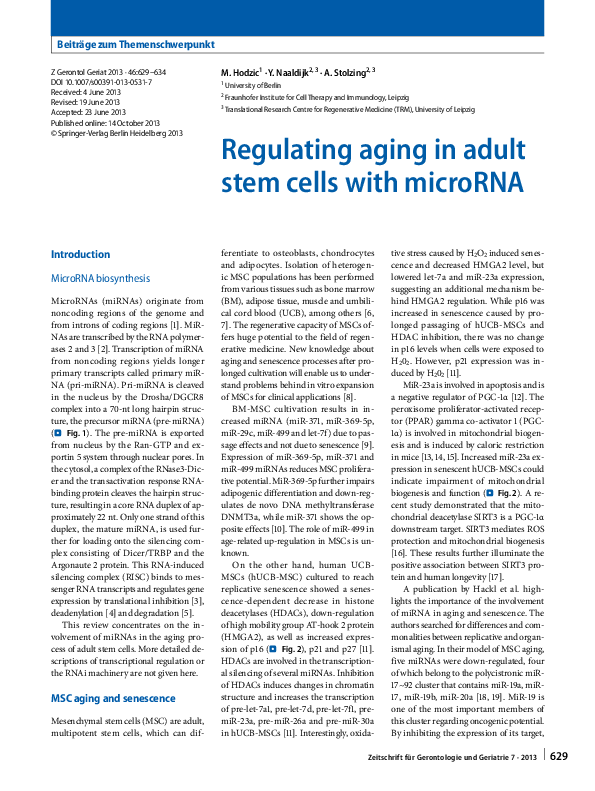 (PDF) Regulating aging in adult stem cells with microRNA